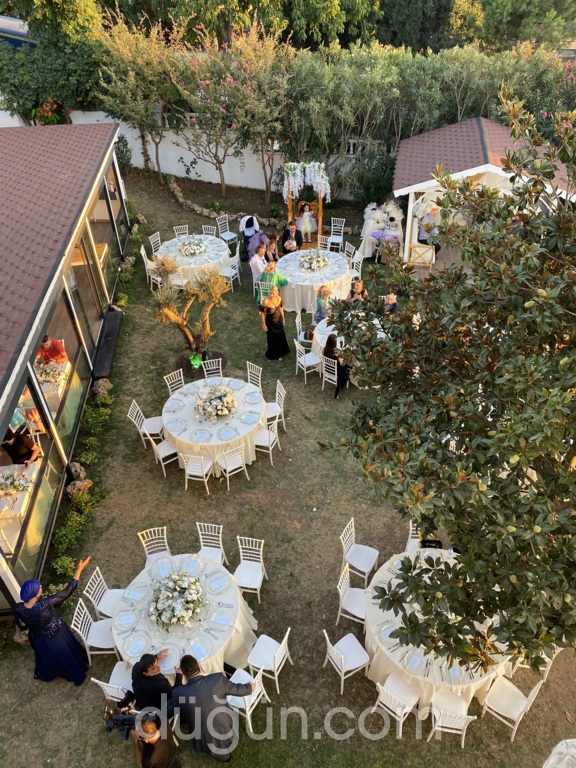 Manolya Ağacı Fiyatları - Söz, Nişan Mekanları İstanbul