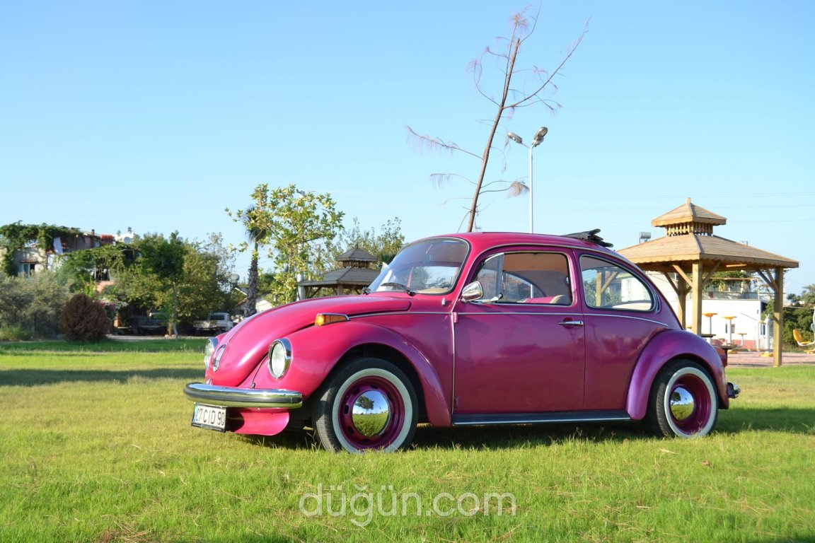 Pembe Tosba Gelin Arabası - Gelin Arabası Antalya