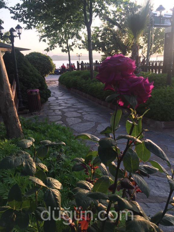 Papuli Garden - Kır Düğünü İstanbul