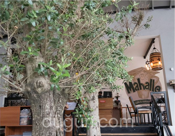 Mahalle Cafe & Restaurant Fiyatları - Söz, Nişan Mekanları İstanbul